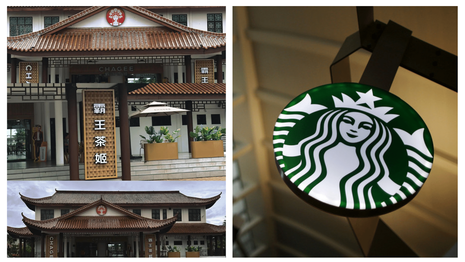 Battle of the Brew: Chagee & Starbucks’s Competition for Attention in ...